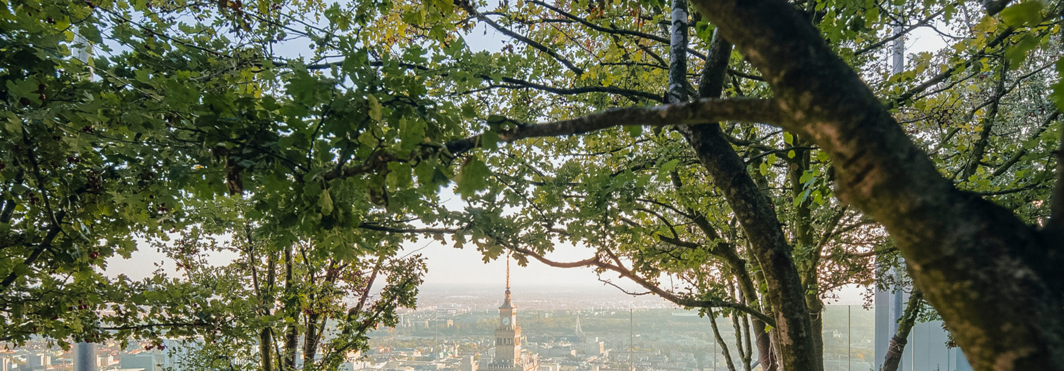Magnicity to operate the top of Varso Tower in Warsaw, the tallest ...